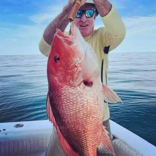 Red Snapper Season Opens June 1st - Into The Blue